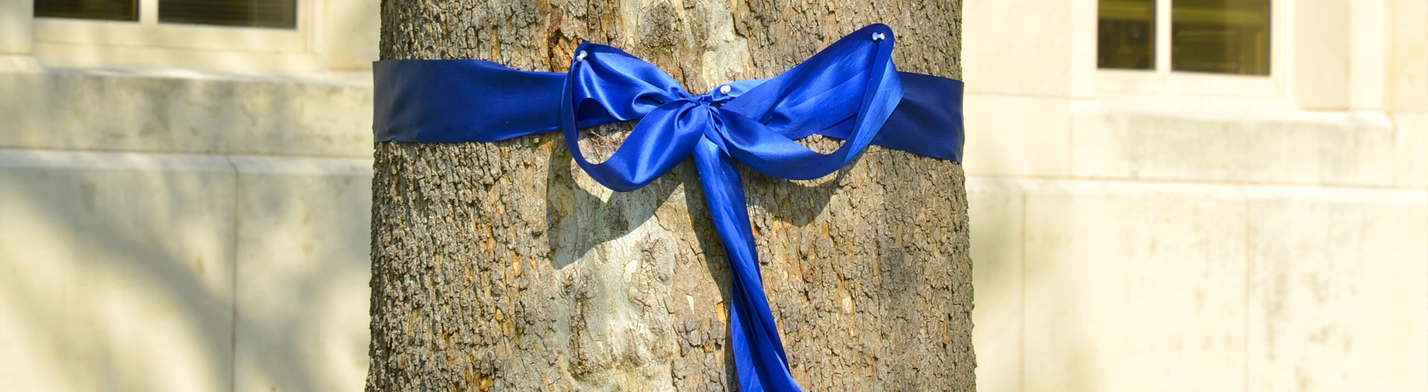 Slide-Ribbon-2000×550 | GraysonCAC